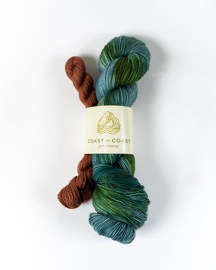 Coast to Coast Yarn Co Sock Set - Fingering Weight Yarn