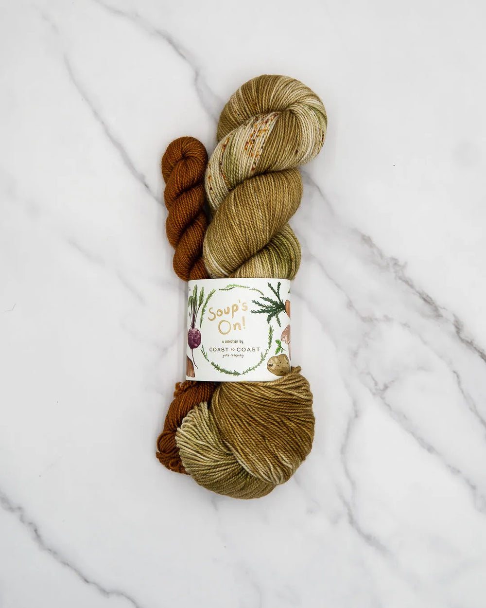 Coast to Coast Yarn Co Sock Set - Fingering Weight Yarn