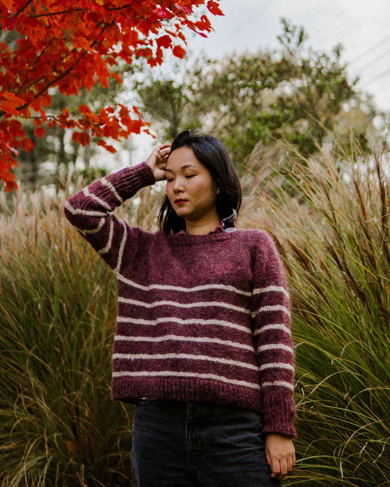 Coloring Book Raglan, beginner sweater pattern - Aimee Sher