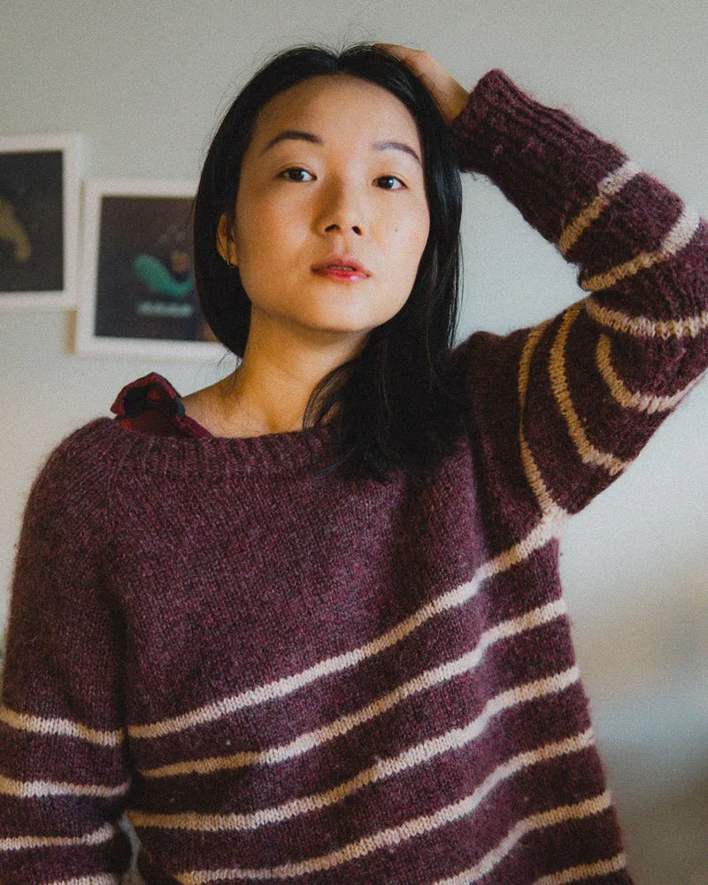 Coloring Book Raglan, beginner sweater pattern - Aimee Sher