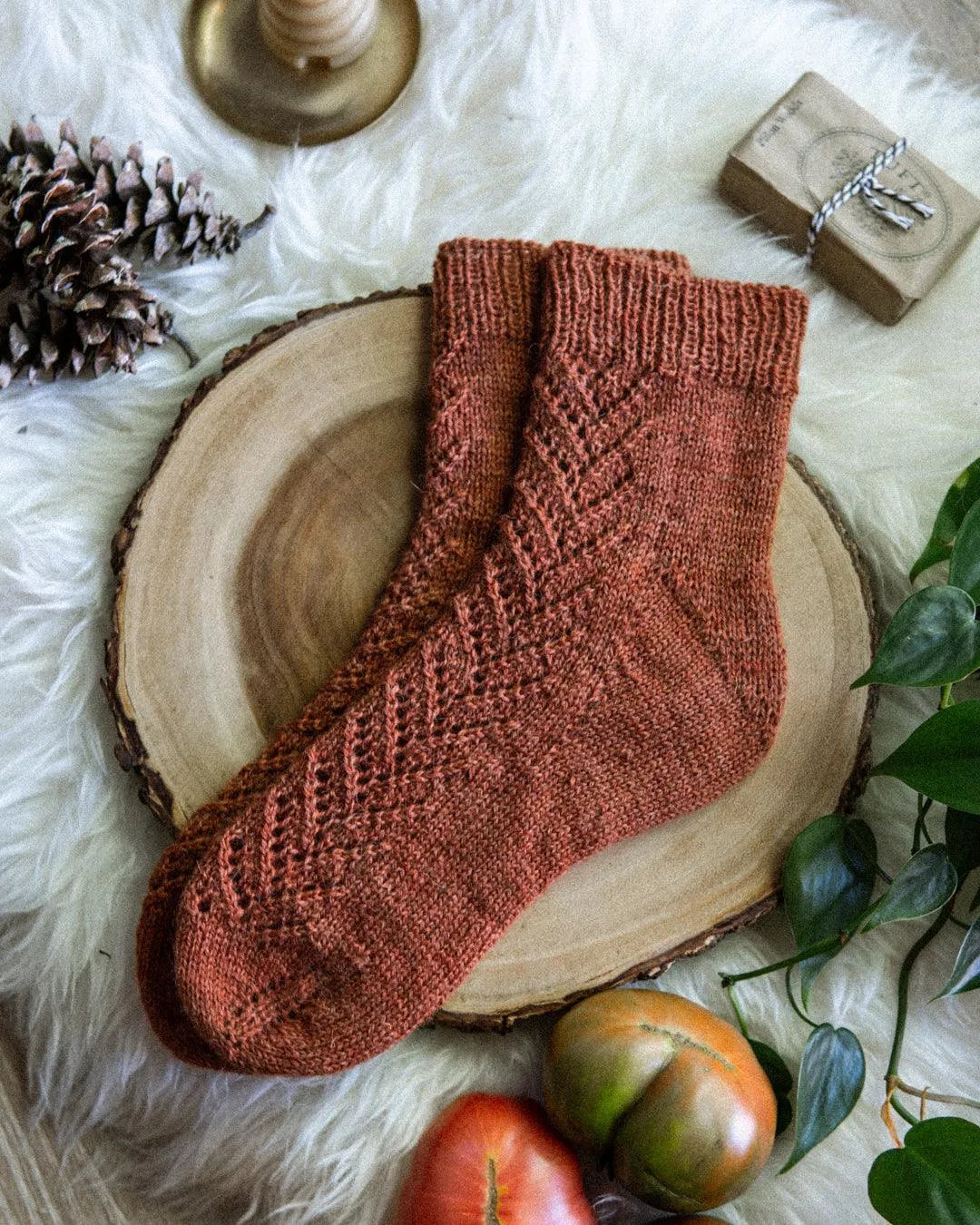 Queen Anne lace sock knitting pattern by Aimee Sher Makes
